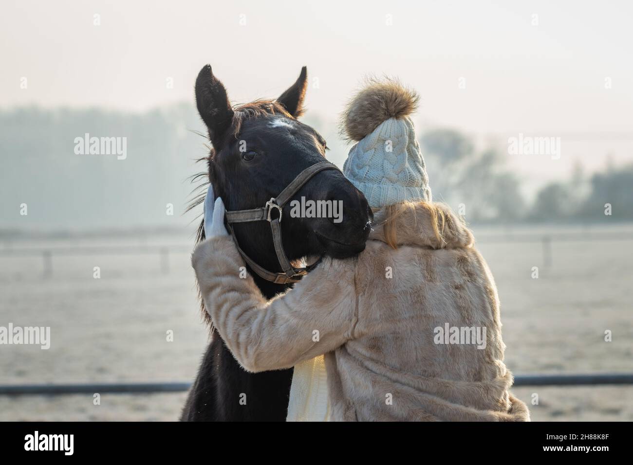 Woman hugging young horse at winter. Friendship between people and ...