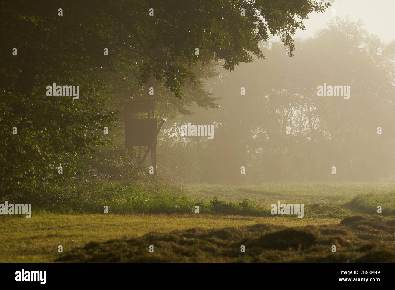 Hunter highstand hi-res stock photography and images - Alamy