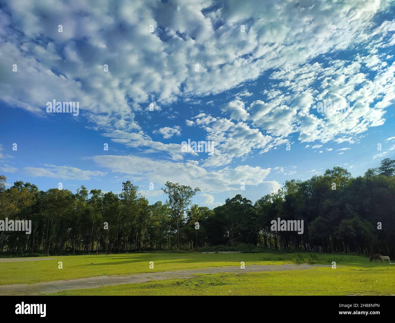 Top down view natural hill hi-res stock photography and images - Alamy