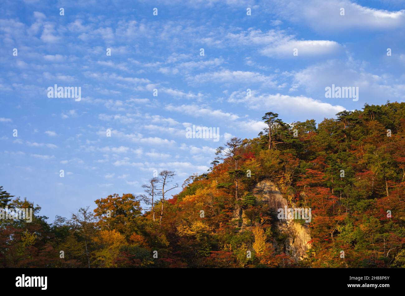 View of Naruko Gorge in autumn, Miyagi Prefecture, Japan Stock Photo ...