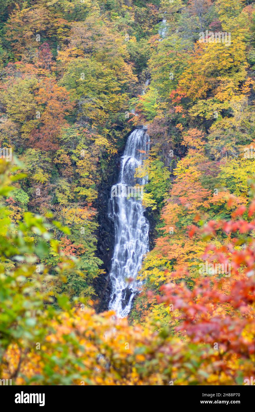 Fudo Waterfall seen from Taki Midai Viewing Point on the Zao Eco Line ...