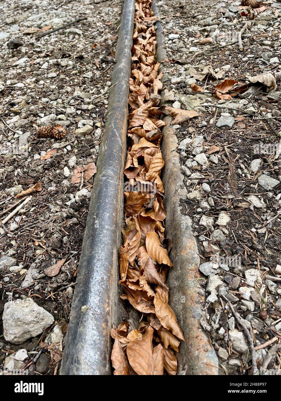 Vertical close up of rain gutter filled with autumn foliage, dirt ...
