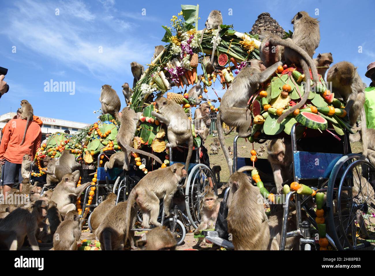 Thailand - November 28, 2021 The 33rd Monkey Buffet Festival 2021 at ...