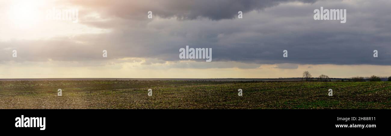 Wide horizontal panorama of cultivated agricultural land. Panoramic ...