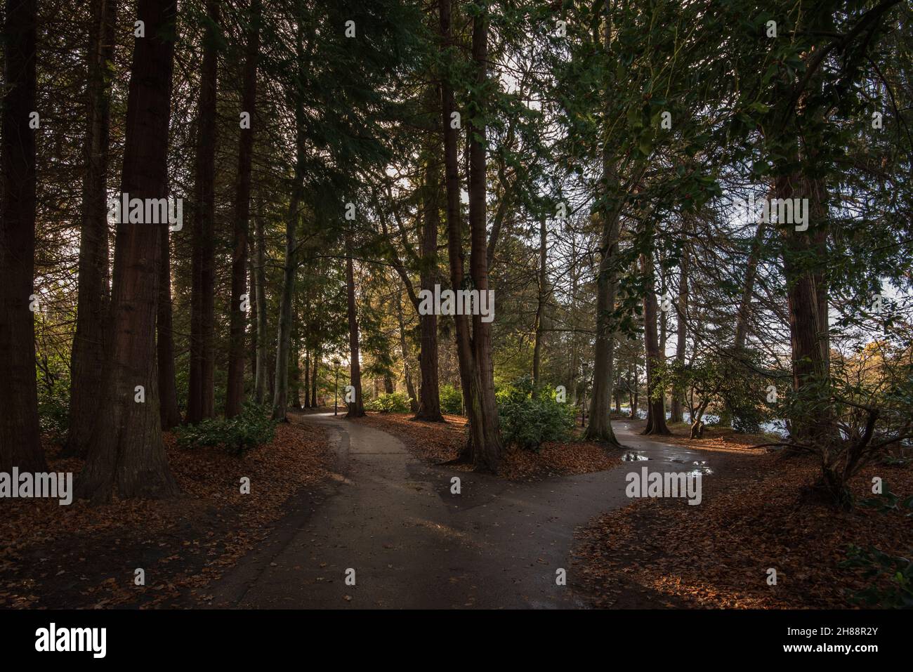 The Ness Islands in the River Ness in Inverness. A collection of ...