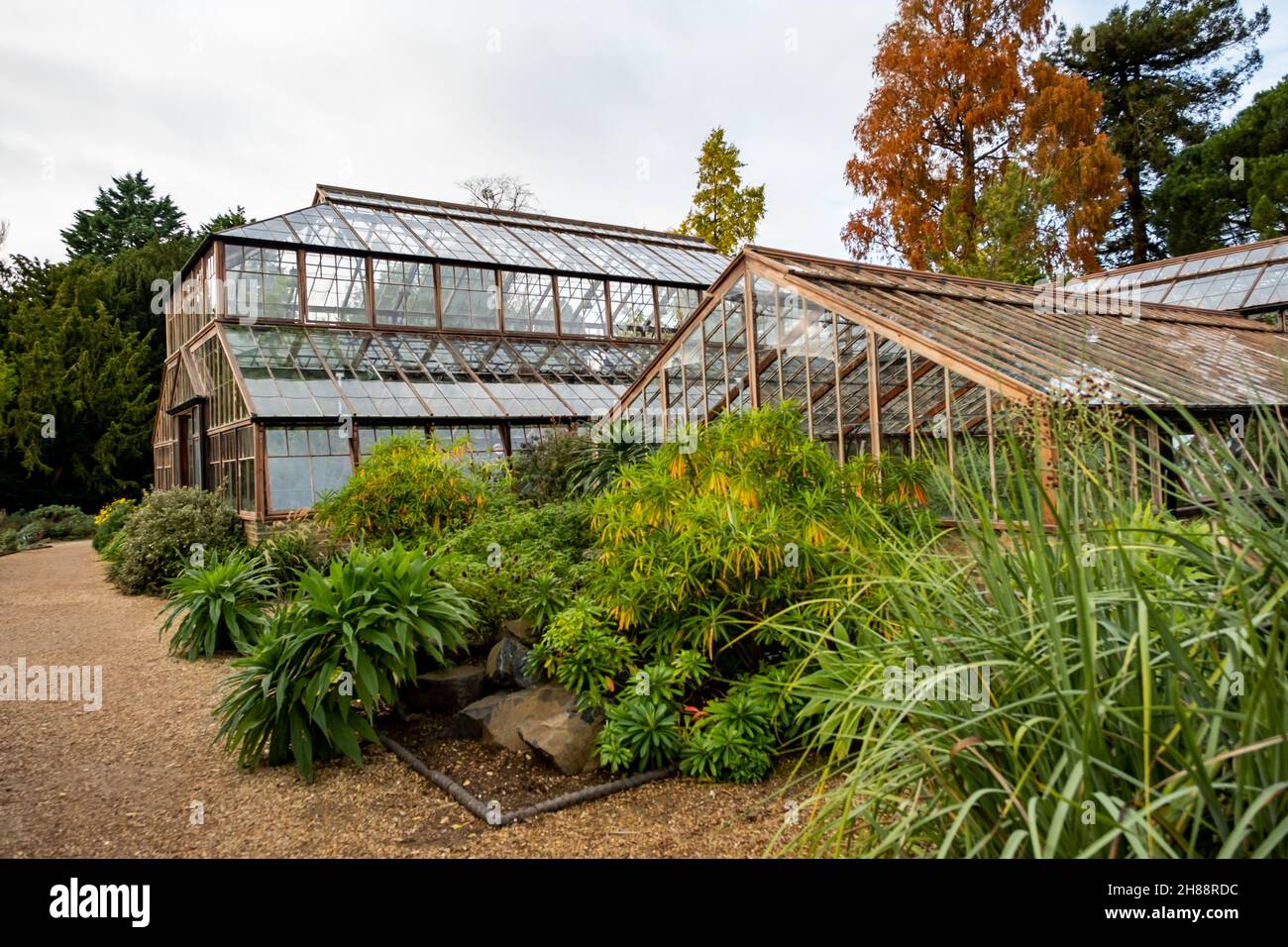 Greenhouses, growing houses and glass houses located in the Cambridge ...