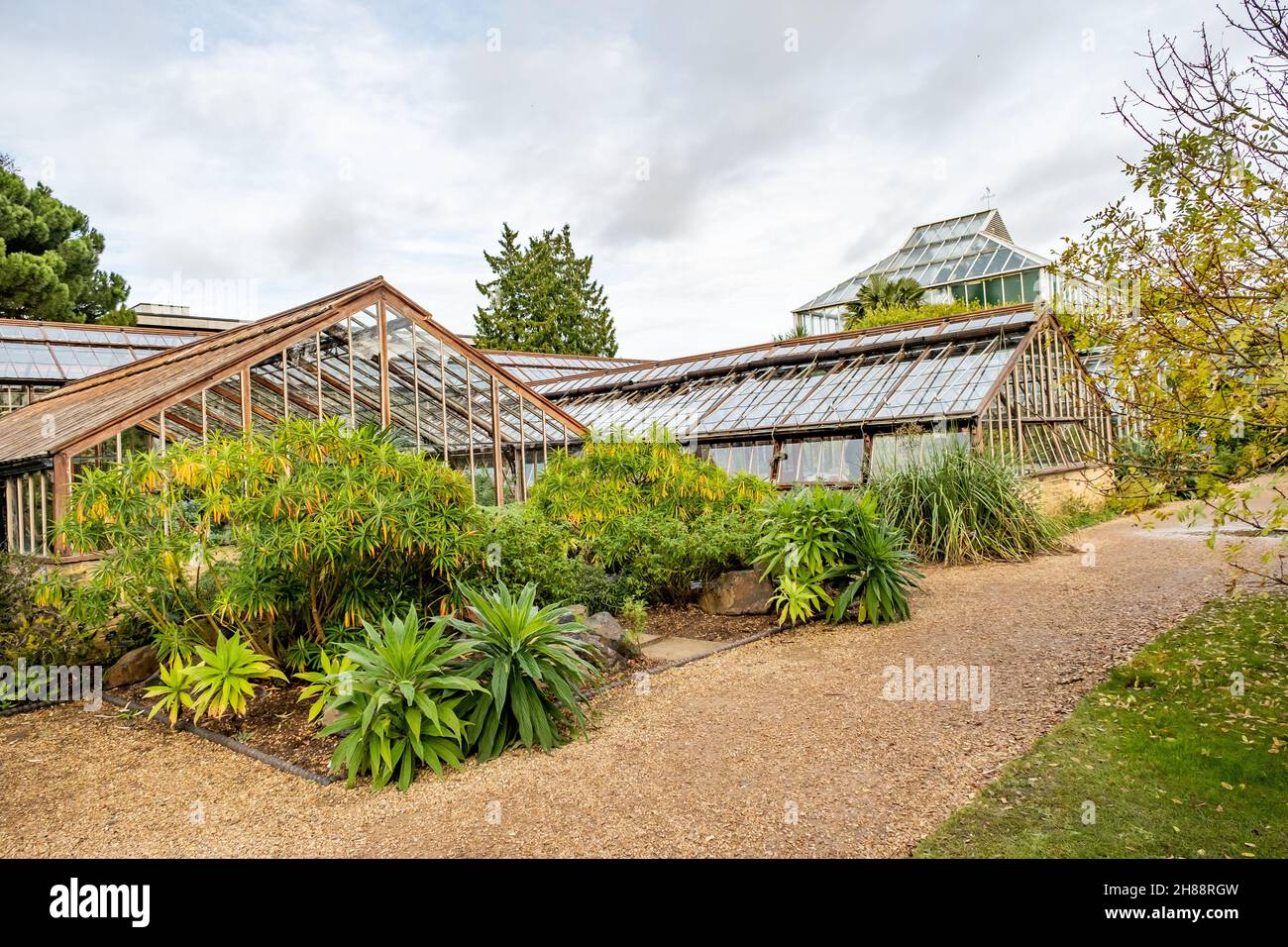 Greenhouses, growing houses and glass houses located in the Cambridge ...