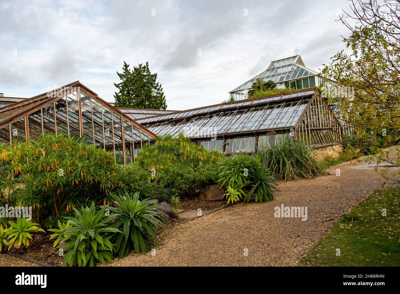 Greenhouses, growing houses and glass houses located in the Cambridge ...