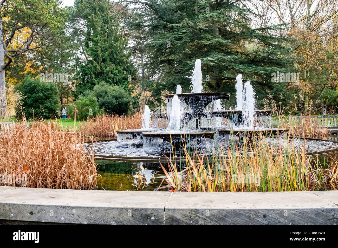 The water feature in the Cambridge Botanical Gardens captured on an ...