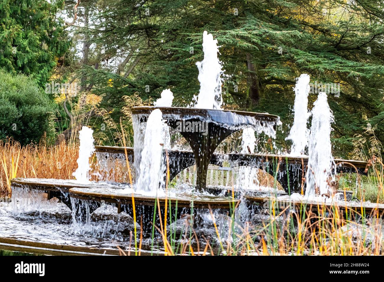 The water feature in the Cambridge Botanical Gardens captured on an ...
