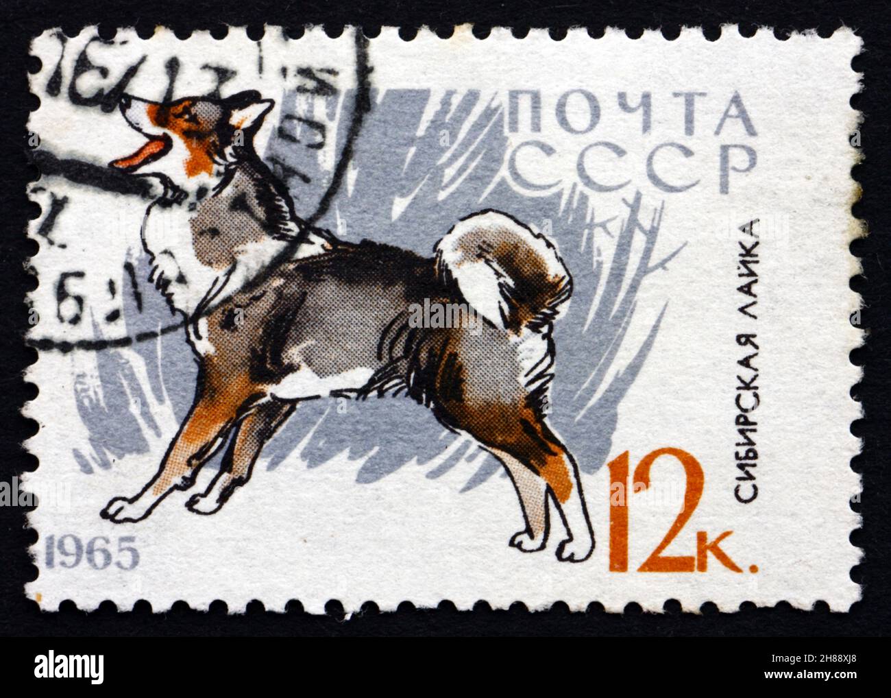 RUSSIA - CIRCA 1965: a stamp printed in the Russia shows Siberian Husky ...