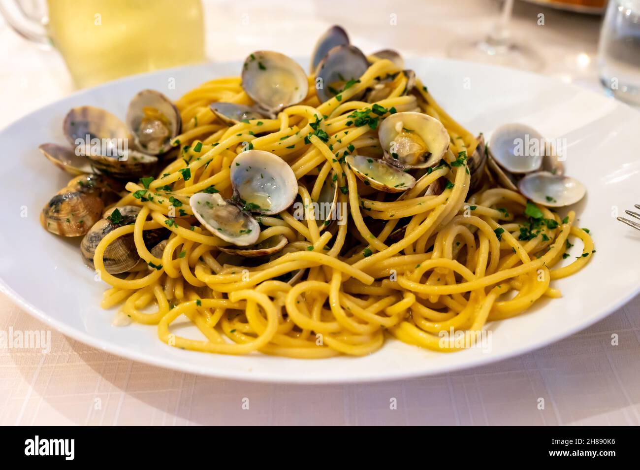 Italian sea food dinner first course pasta with clams alle vongole ...