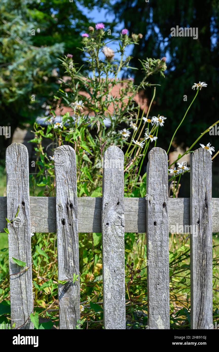 Slapton Manor -British Grand Prix - Silverstone 2021 Stock Photo - Alamy