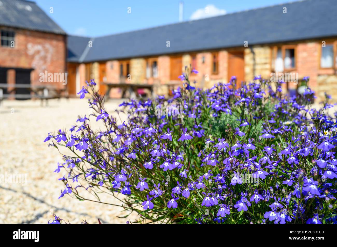 Slapton Manor -British Grand Prix - Silverstone 2021 Stock Photo - Alamy