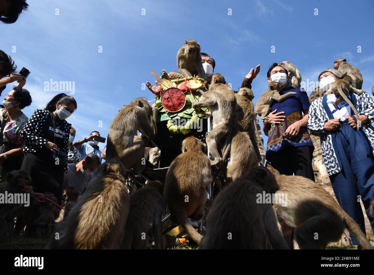 THAILAND - The 33rd Monkey Fruit Banquet Festival "Wheelchair Monkey ...