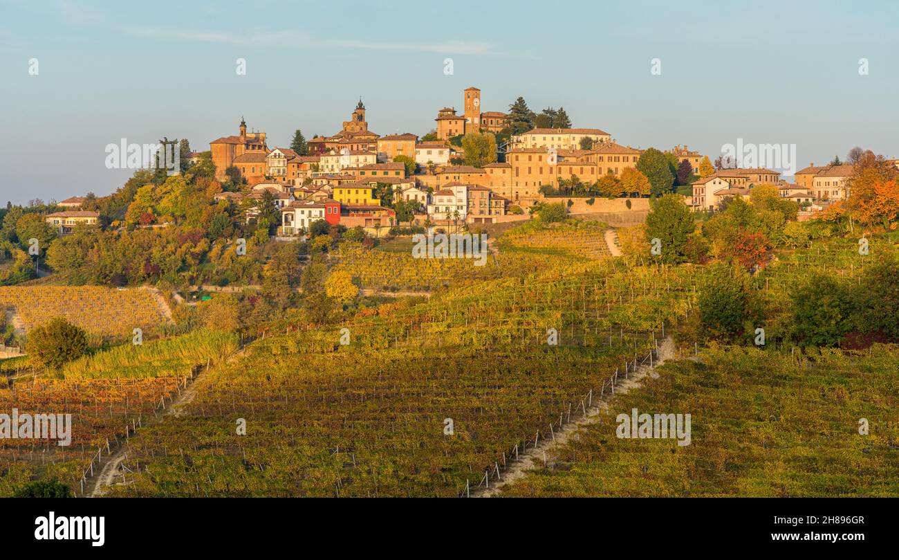 Beautiful hills and vineyards during fall season surrounding Neive ...