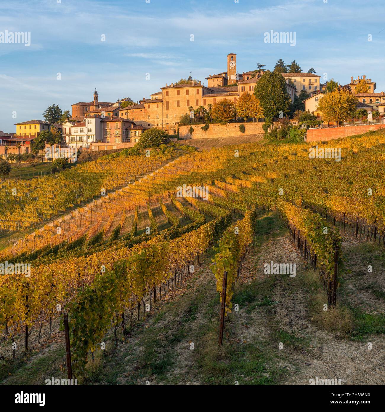Beautiful hills and vineyards during fall season surrounding Neive ...