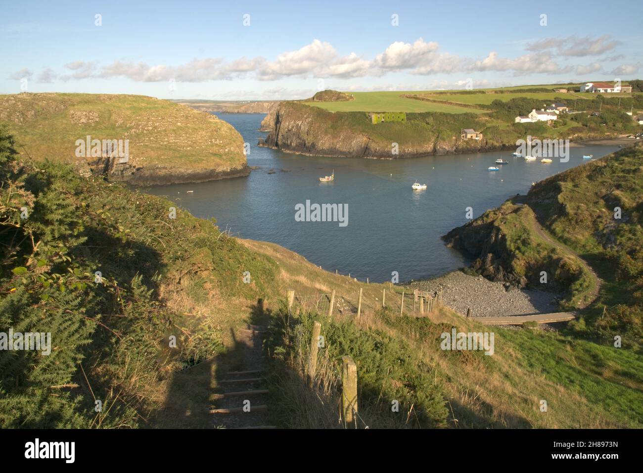 Coast path abercastle hi-res stock photography and images - Alamy