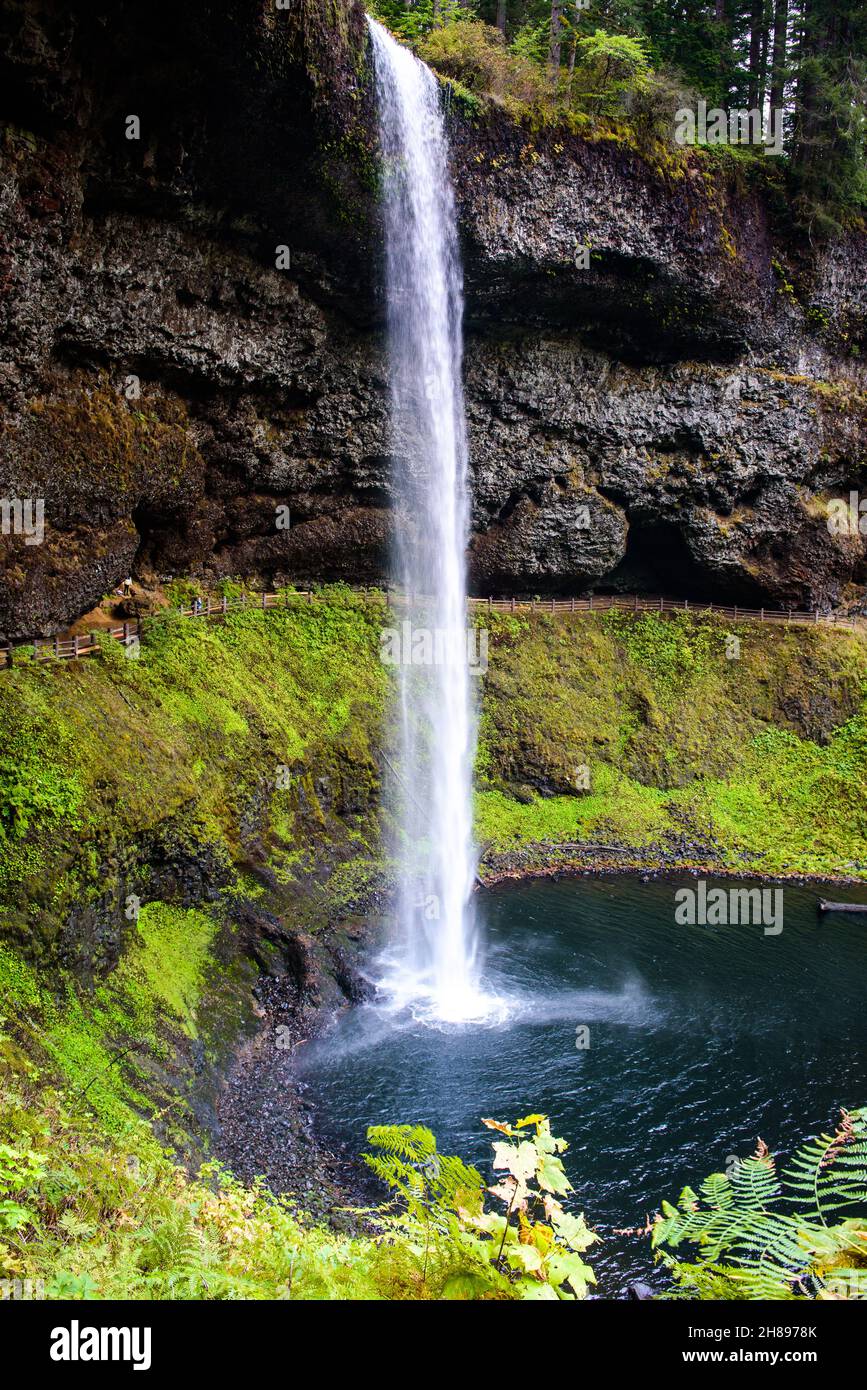 Highest waterfall in silver falls state park Stock Photo - Alamy