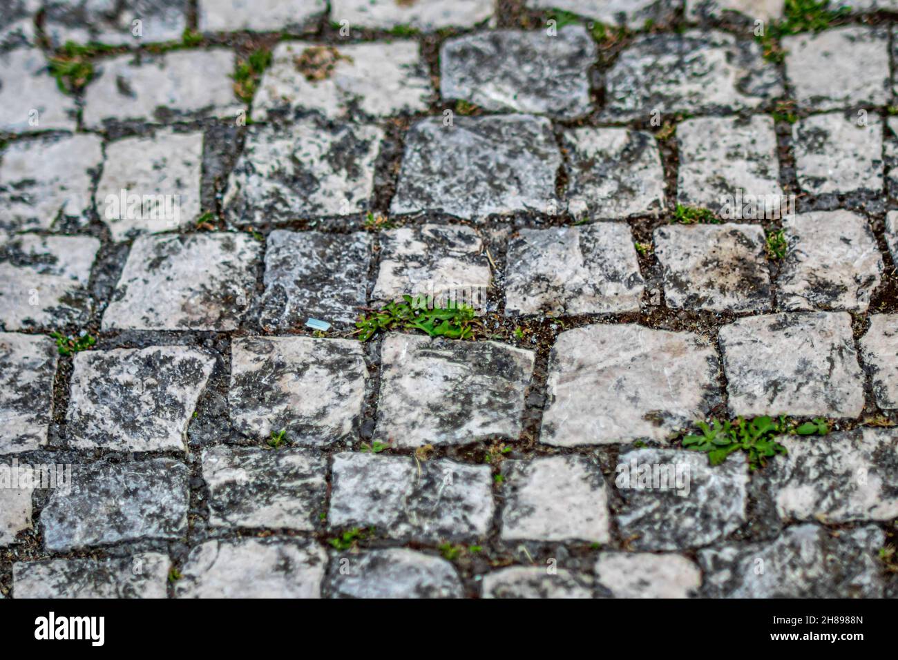 A Tiled stack stone floor with green grass plant as texture or ...