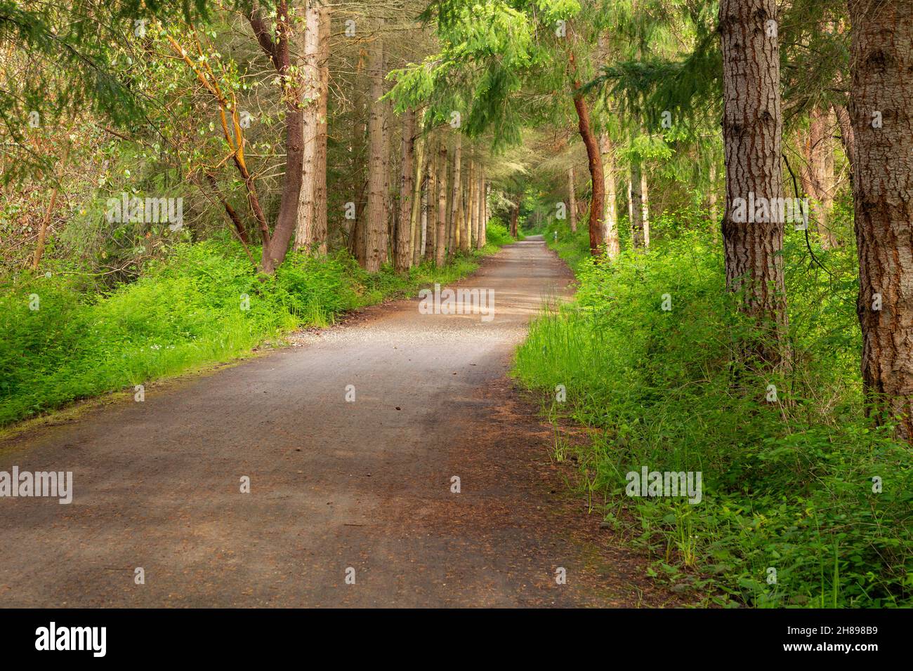 Larry scott memorial trail hi-res stock photography and images - Alamy