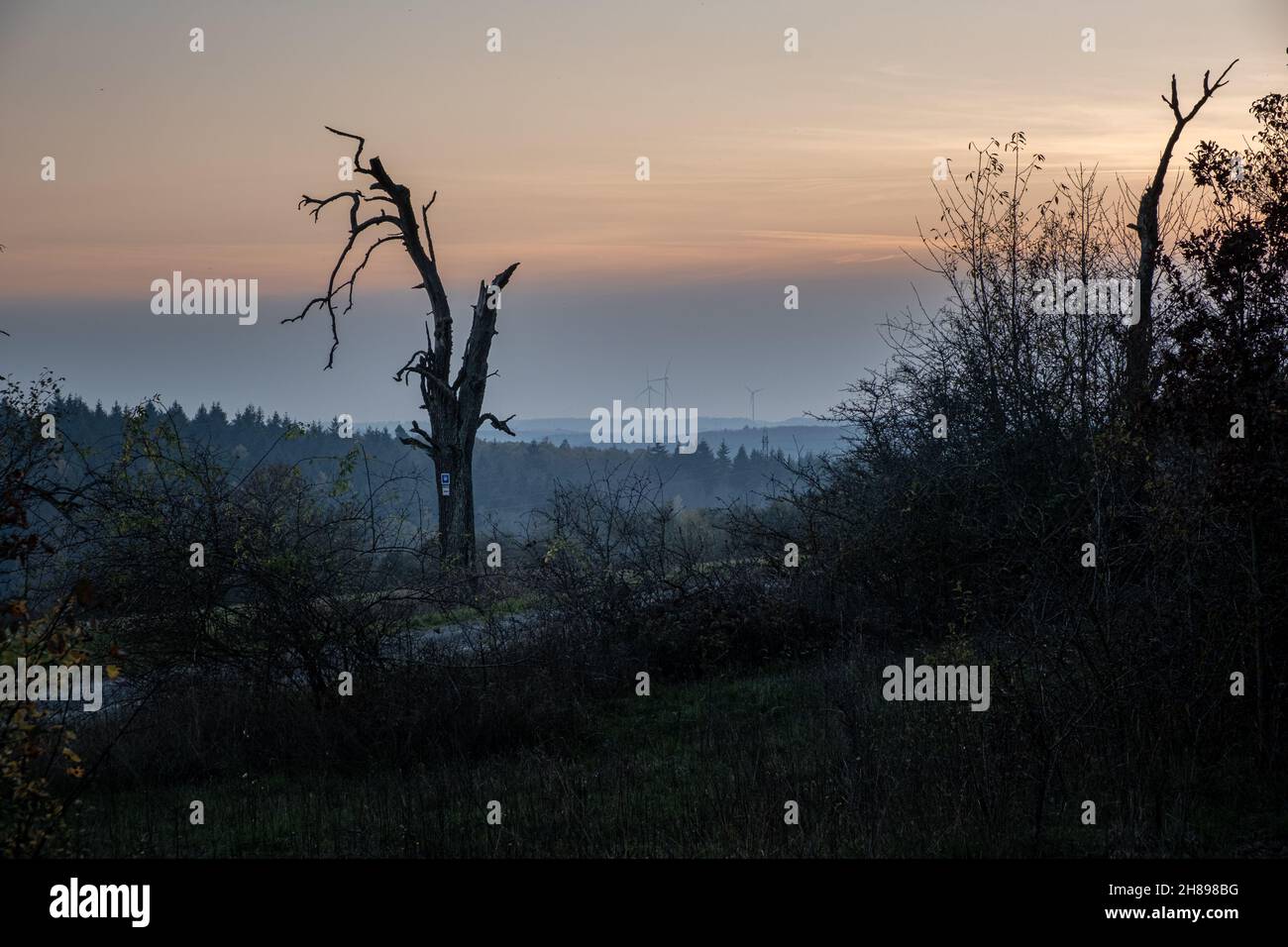 Tree wheels hi-res stock photography and images - Alamy