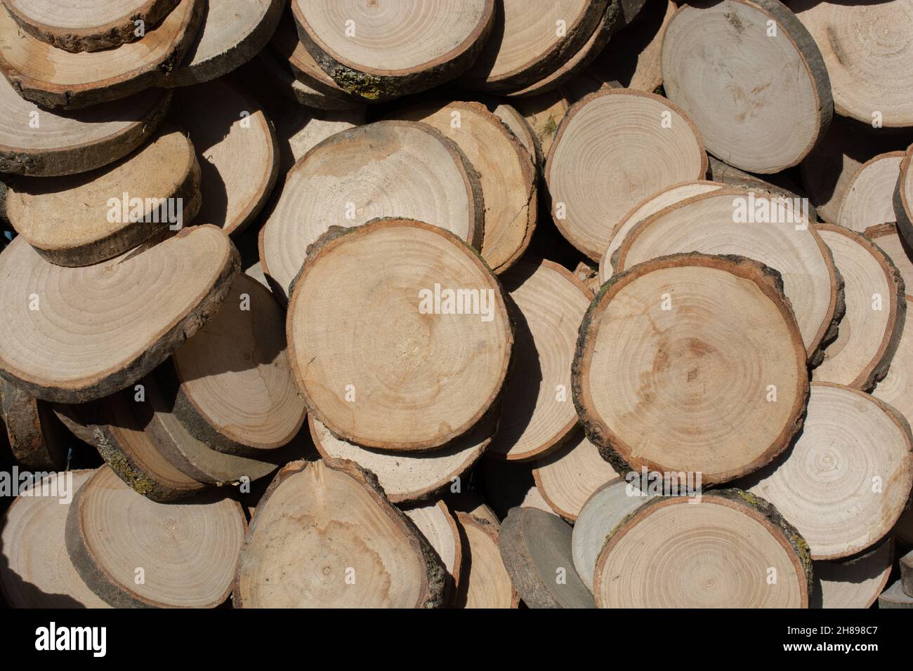 Wooden log pieces hi-res stock photography and images - Alamy