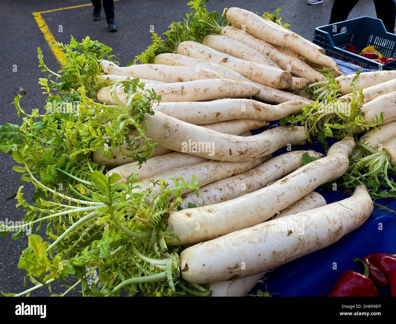 Fresh long radishes on hi-res stock photography and images - Alamy