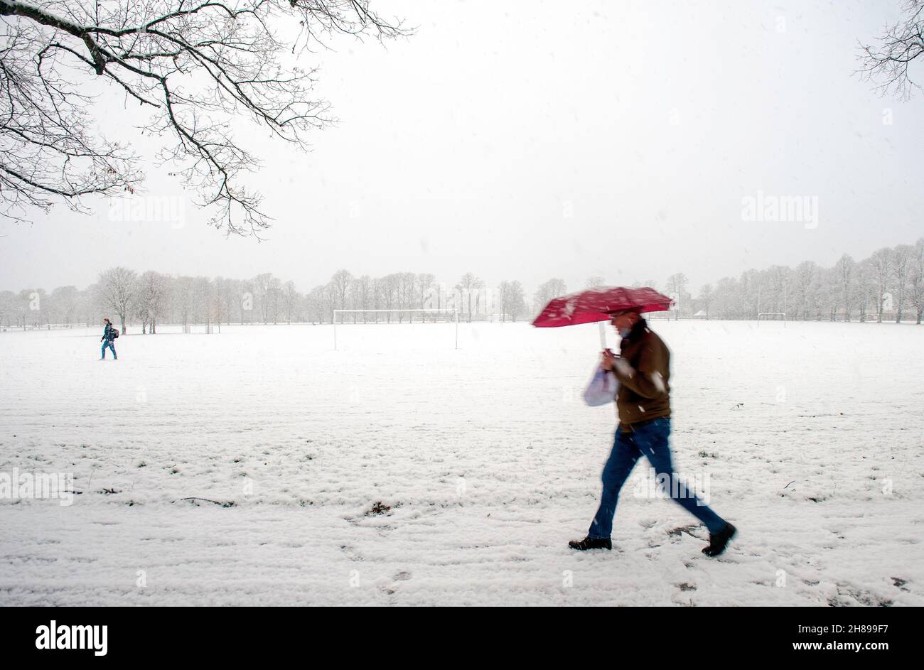 Heavy snowfall on Victoria Park in Leicester city. The end of a weekend ...