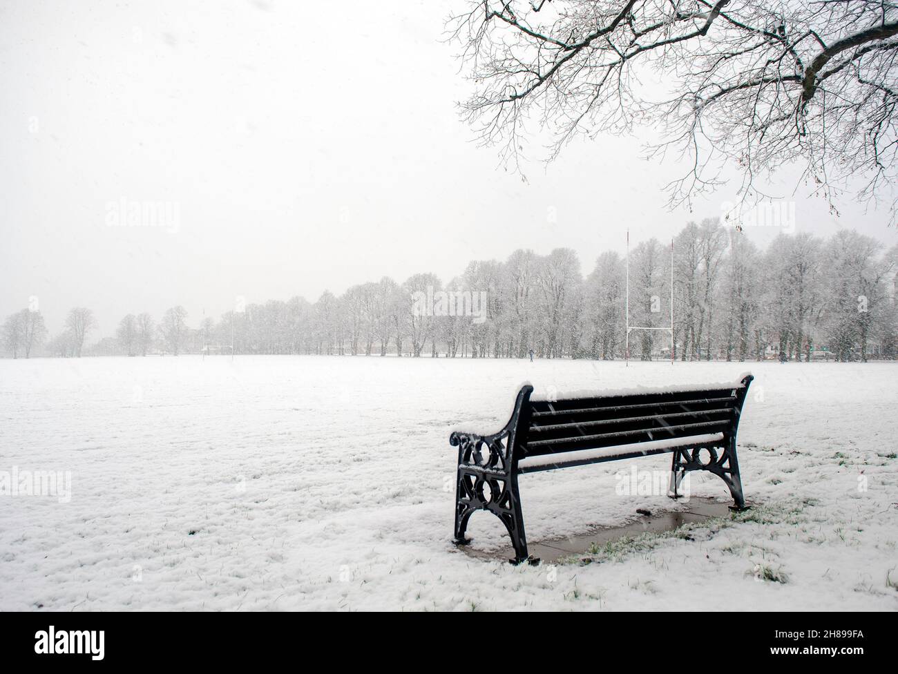 Heavy snowfall on Victoria Park in Leicester city. The end of a weekend ...