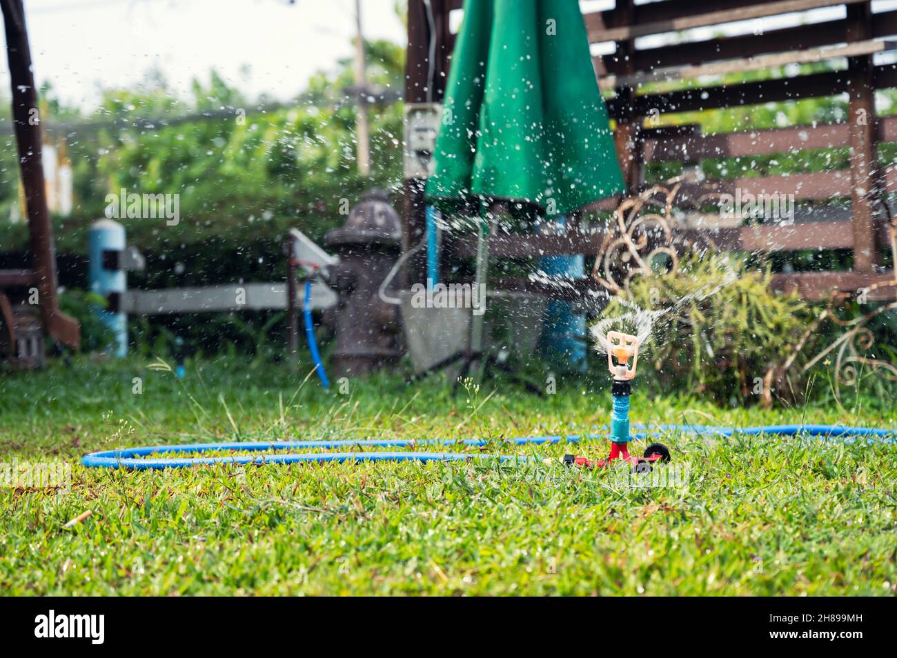 Automatic water sprinkler system watering the green grass in backyard ...