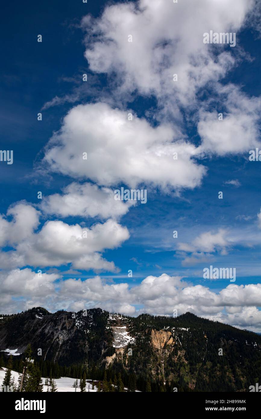WA19824-00...WASHINGTON - Skyline Ridge from the flanks of Cowboy ...