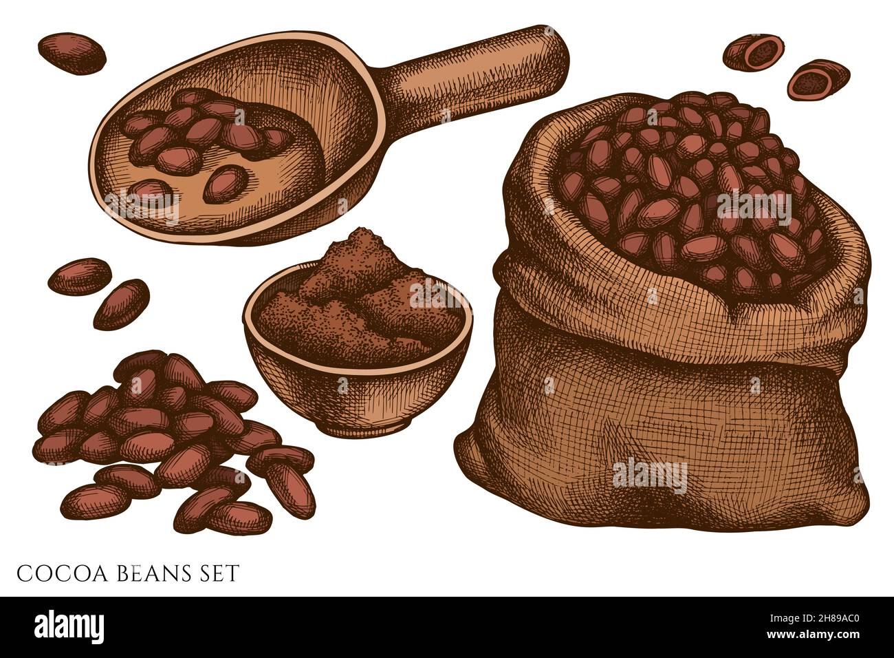 Vector set of hand drawn colored cocoa beans Stock Vector Image & Art ...
