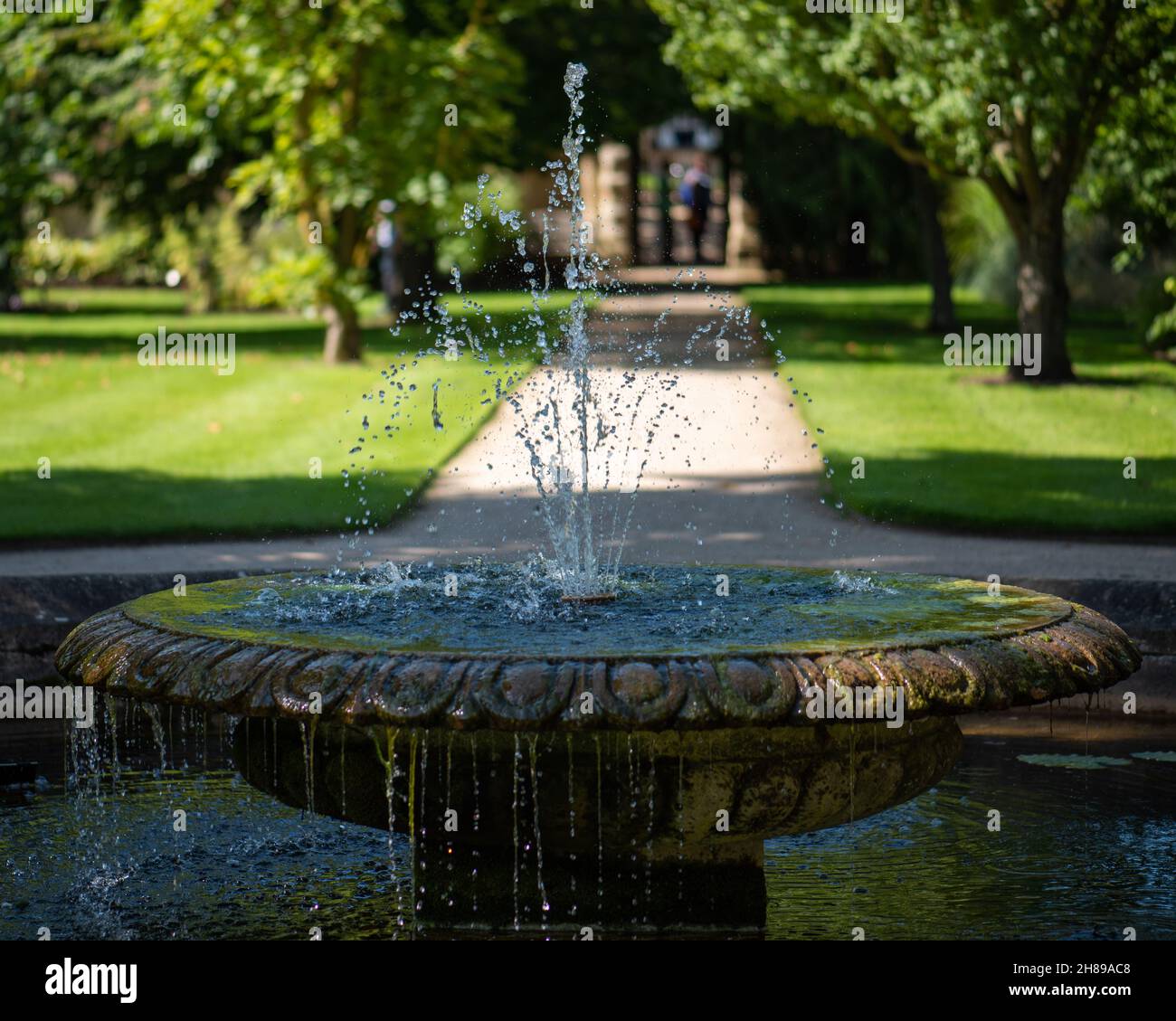 Spouting fountain hi-res stock photography and images - Alamy