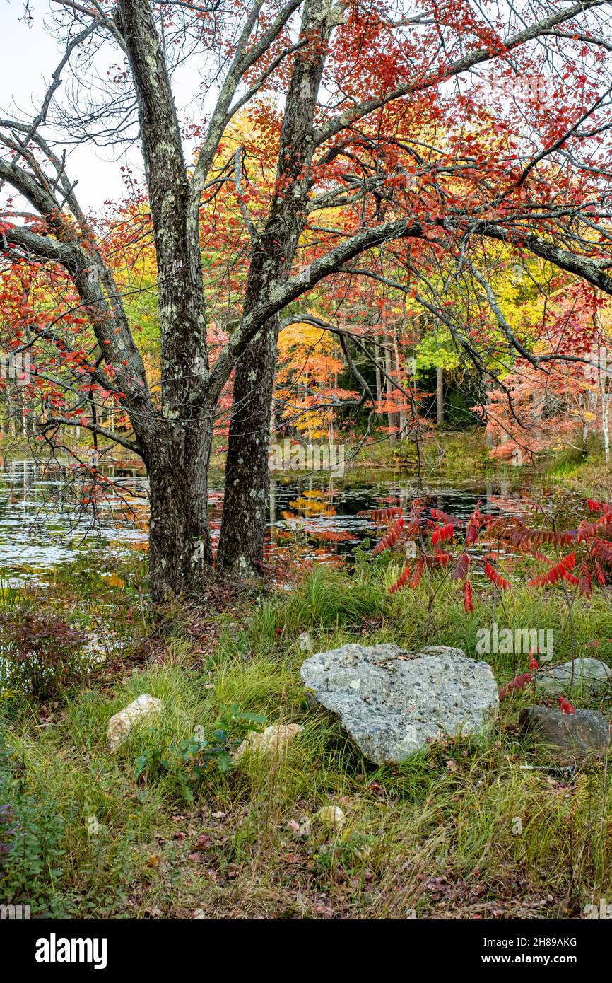 Petersham massachusetts hi-res stock photography and images - Alamy