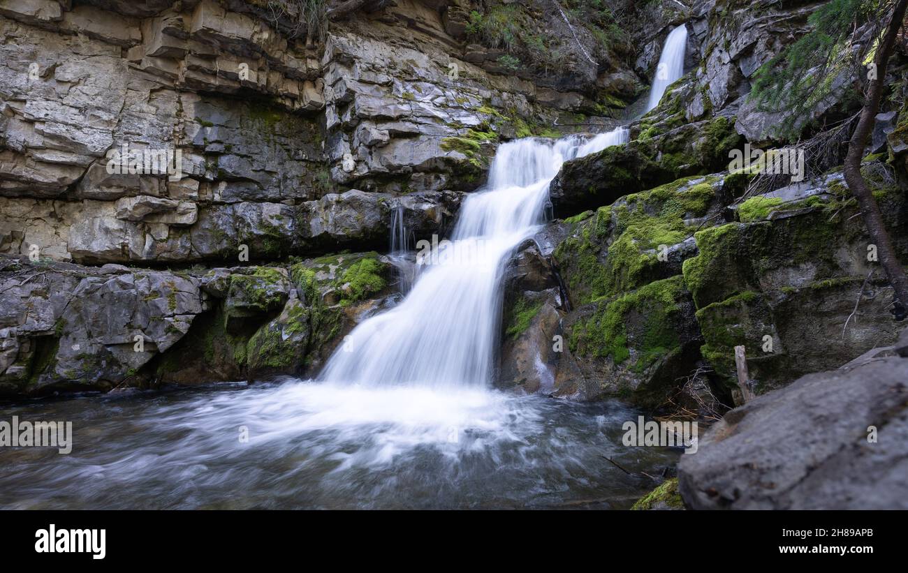 Small cascade waterfall hidden in a forest, Canadian Rockies, Canada ...