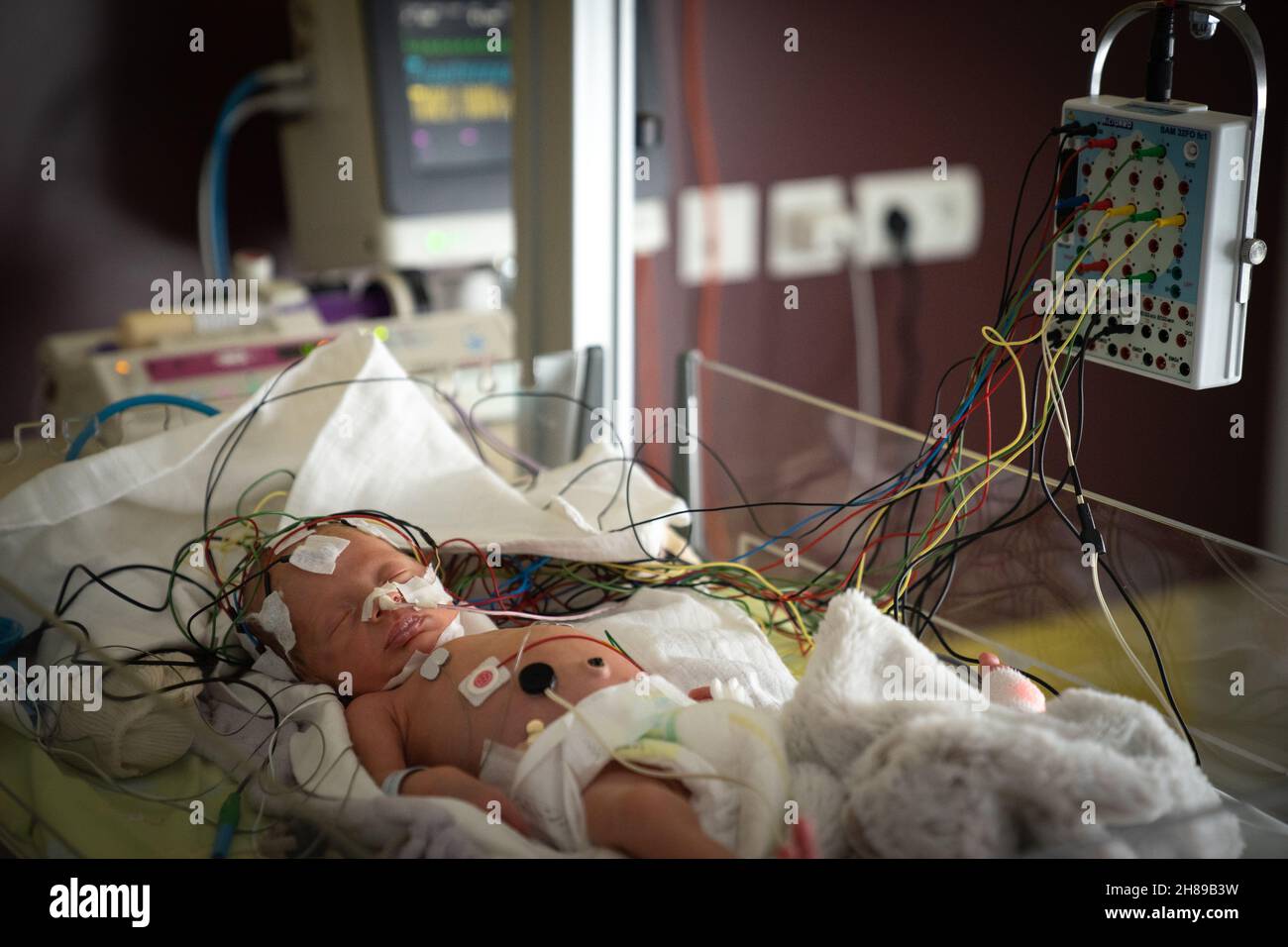 Encephalogram hi-res stock photography and images - Alamy