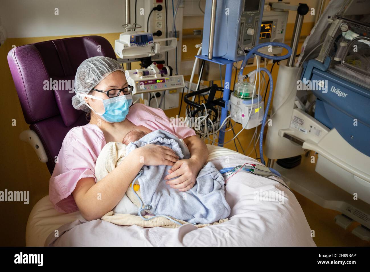 Newborn kangaroo hi-res stock photography and images - Alamy