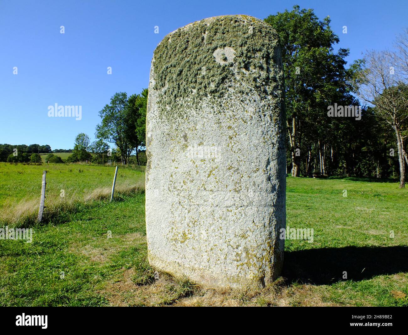 Tree landcapes hi-res stock photography and images - Alamy