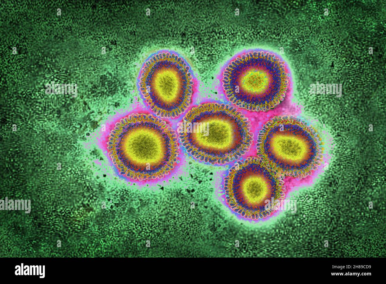 Virus flu microscope hi-res stock photography and images - Alamy