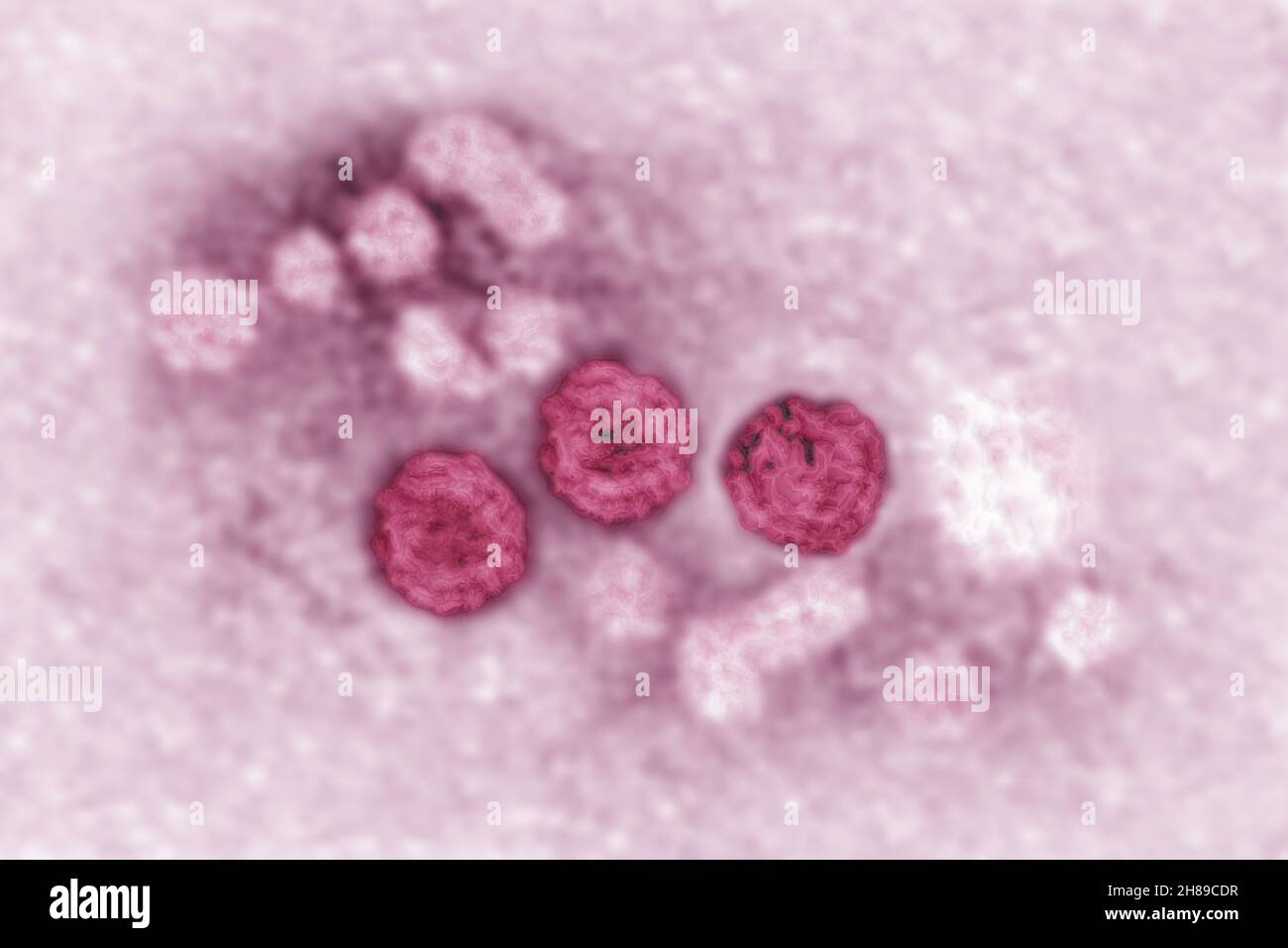 Hepatitis b virus hi-res stock photography and images - Alamy