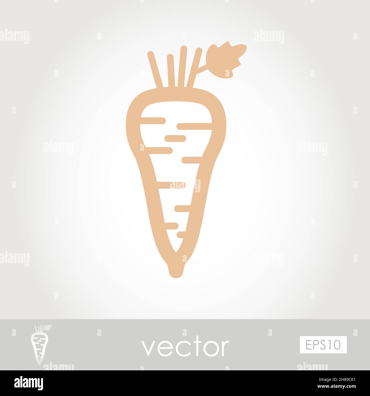 Parsnip root outline icon. Vegetable vector illustration Stock Vector ...