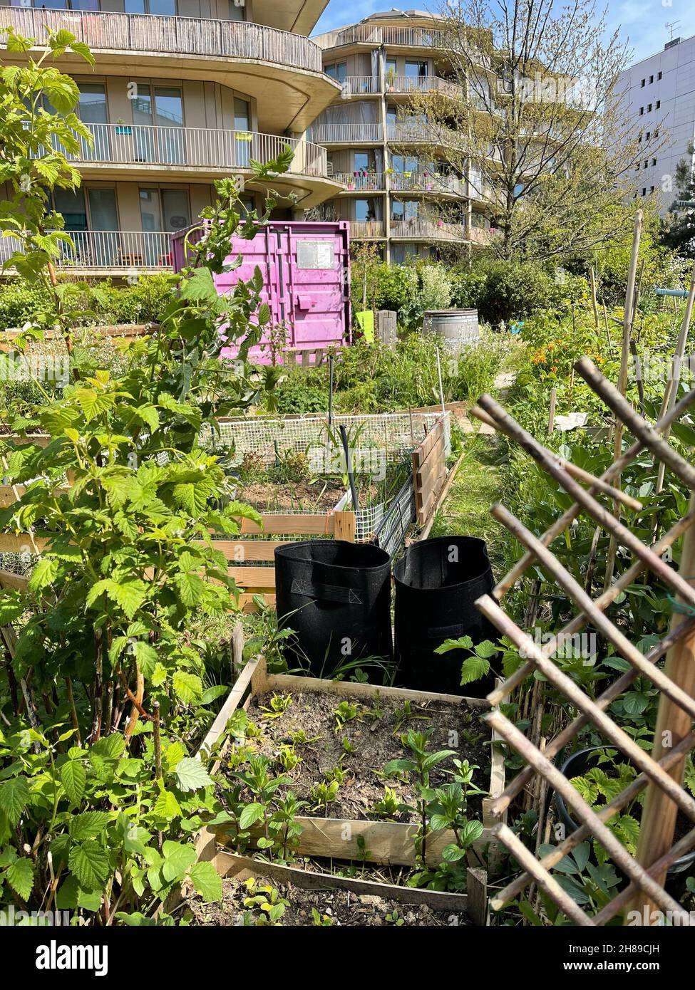 Vegetation garden hi-res stock photography and images - Alamy