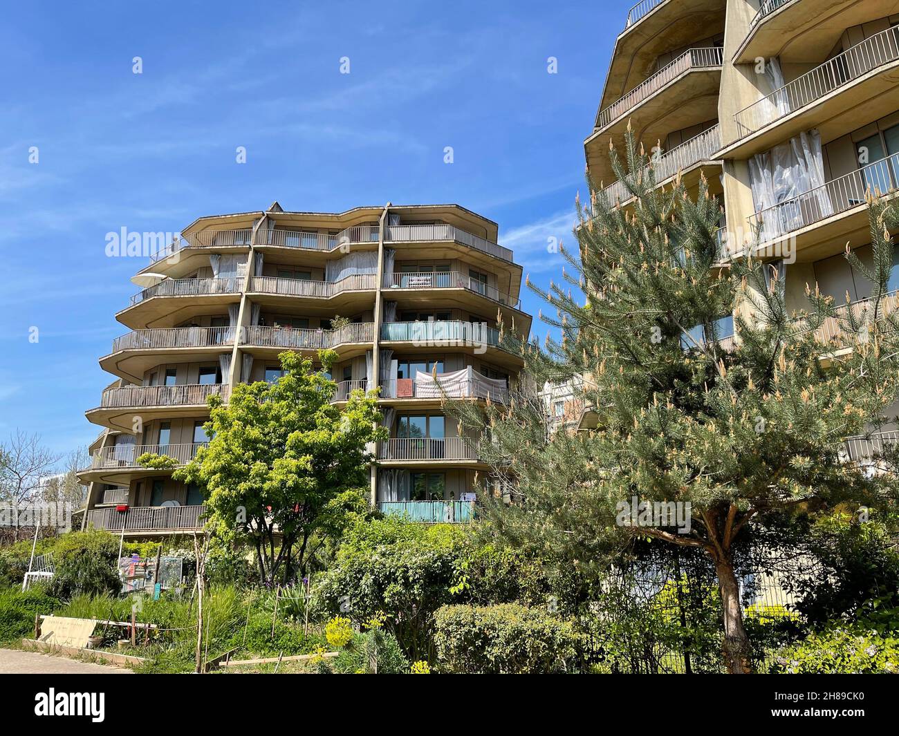 Shared gardens hi-res stock photography and images - Alamy