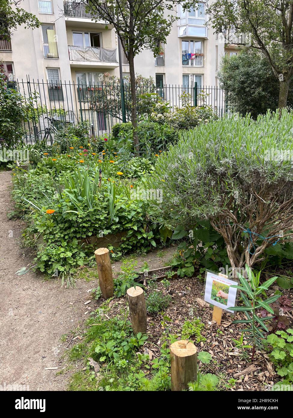 Shared gardens hi-res stock photography and images - Alamy