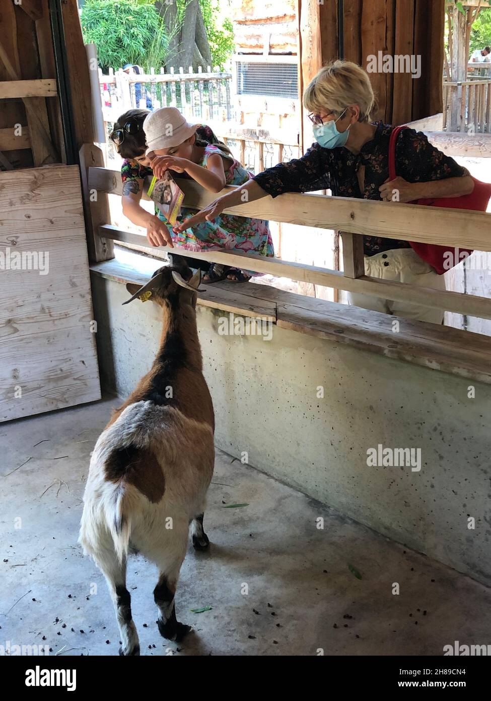 Woman and goat Stock Photo - Alamy