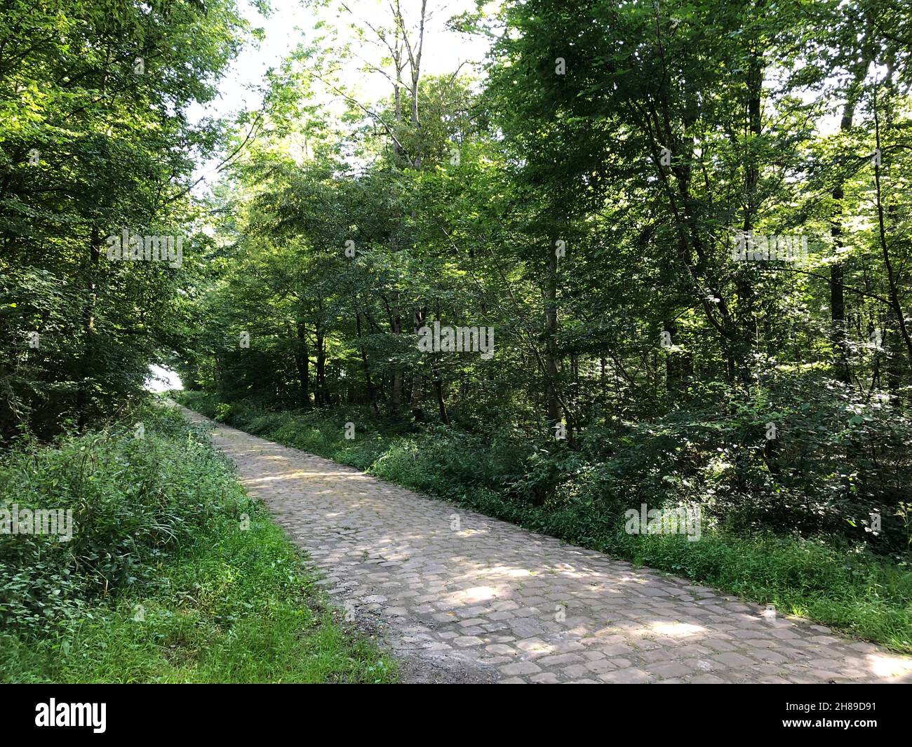 Paved path in picardy Stock Photo - Alamy