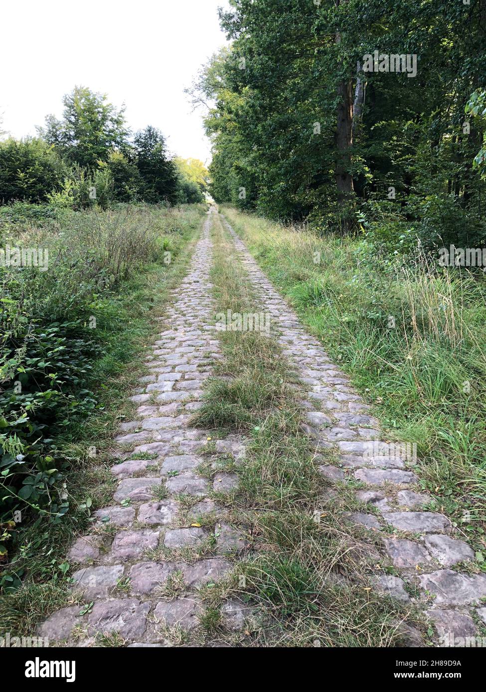 Paved path in picardy Stock Photo - Alamy