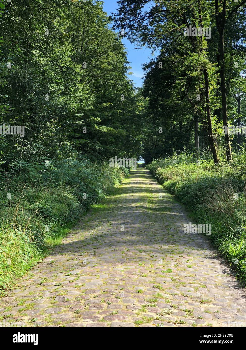 Paved path in picardy Stock Photo - Alamy
