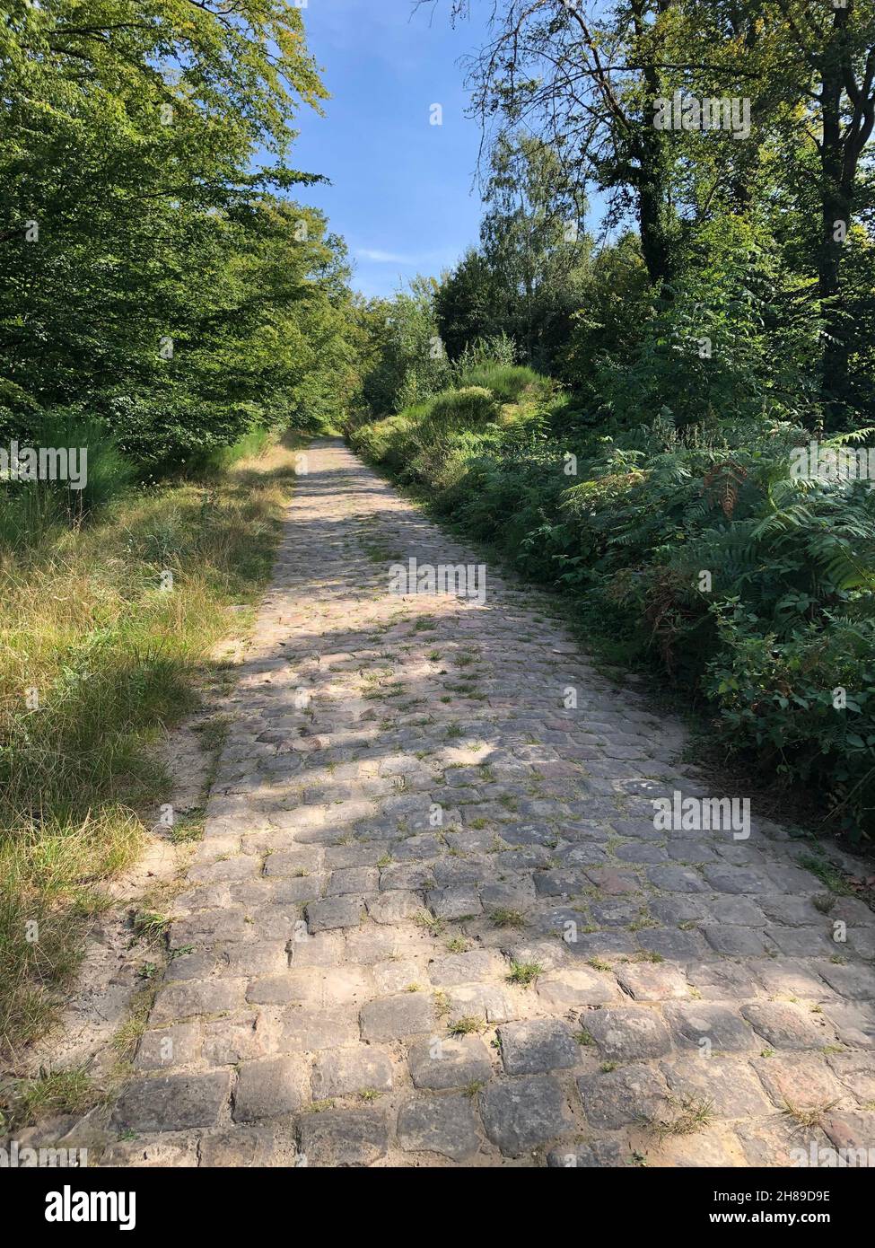 Paved path in picardy Stock Photo - Alamy